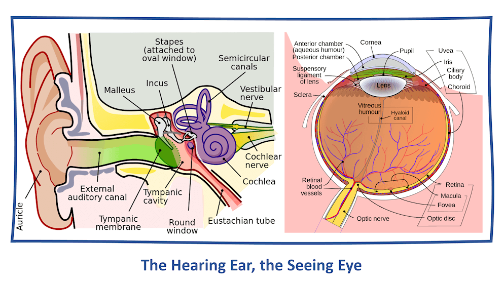The Hearing Ear, The Seeing Eye – Proclaim & Defend